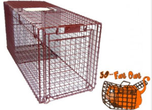 Resources | San Antonio Feral Cat Coalition