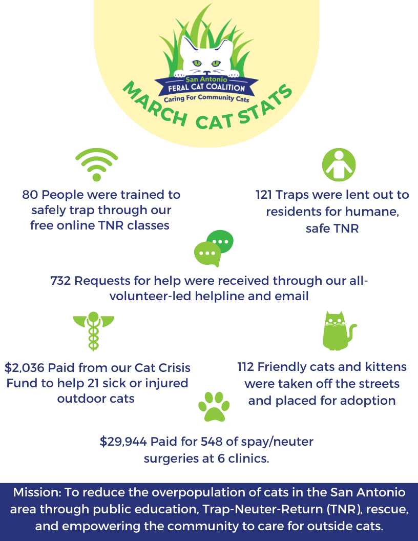 San Antonio Feral Cat Coalition