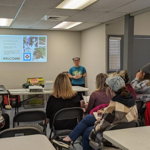 In-Person TNR Class | San Antonio Feral Cat Coalition