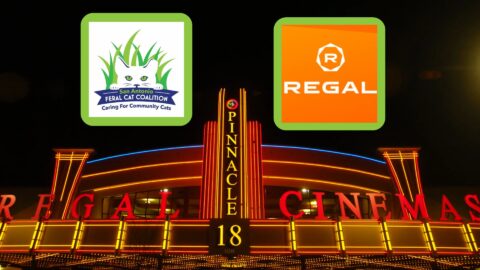 Regal Cinemas Fundraiser | San Antonio Feral Cat Coalition