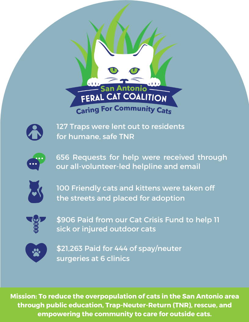 San Antonio Feral Cat Coalition – Trap-Neuter-Return (TNR), rescue, and ...