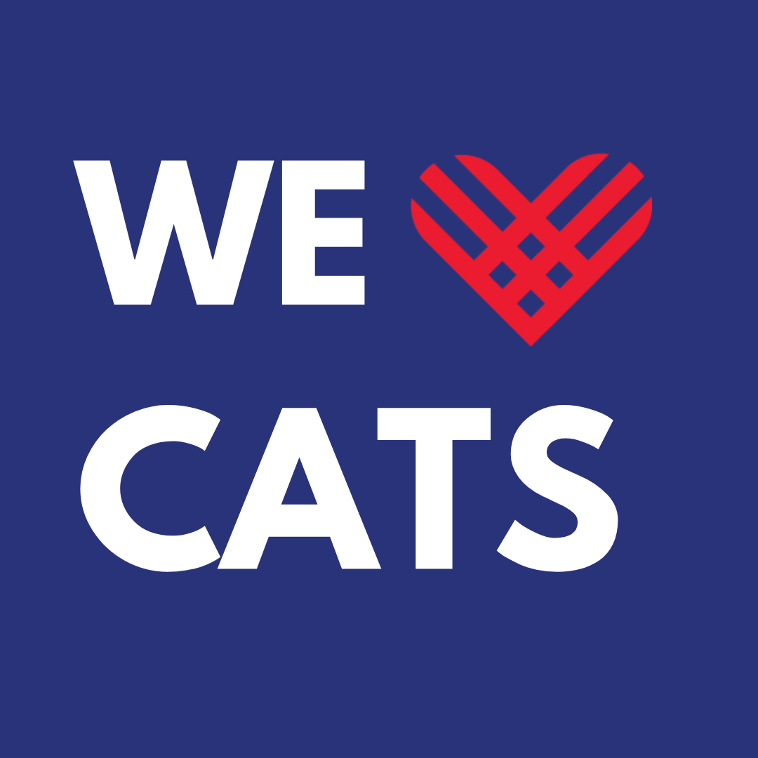 San Antonio Feral Cat Coalition – Trap-Neuter-Return (TNR), rescue, and ...