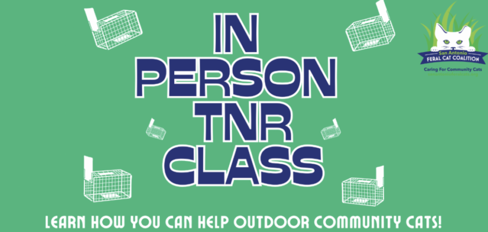 In Person TNR Class | San Antonio Feral Cat Coalition