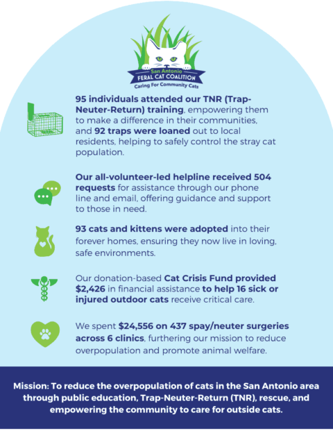 San Antonio Feral Cat Coalition – Trap-Neuter-Return (TNR), rescue, and ...
