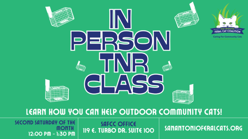 In Person TNR Class | San Antonio Feral Cat Coalition